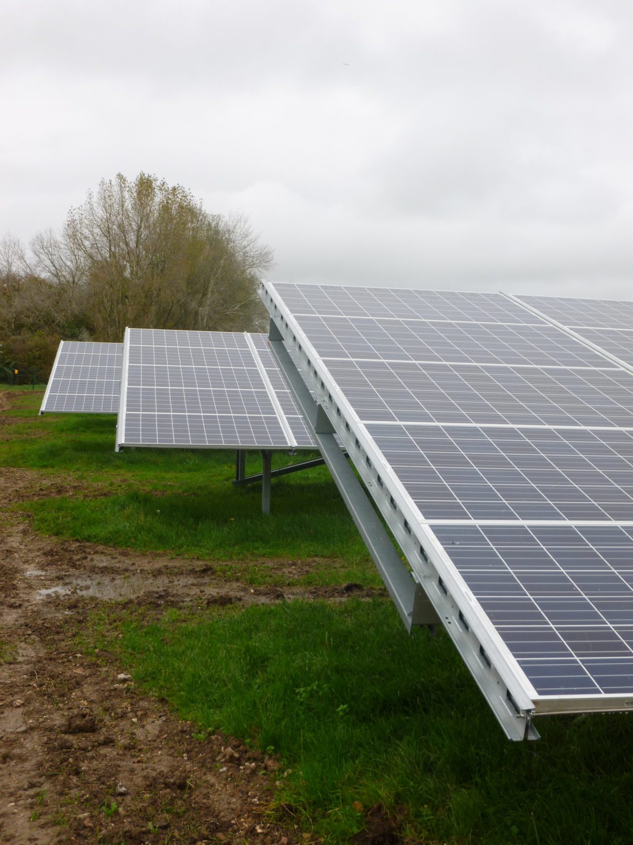 Tangmere Solar Farm - BPG